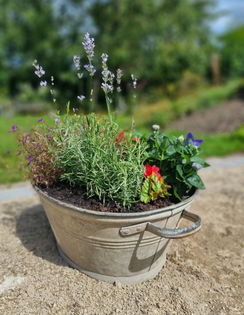 brocante zinken teil wasteil - Santiline brocante zinken teil wasteil